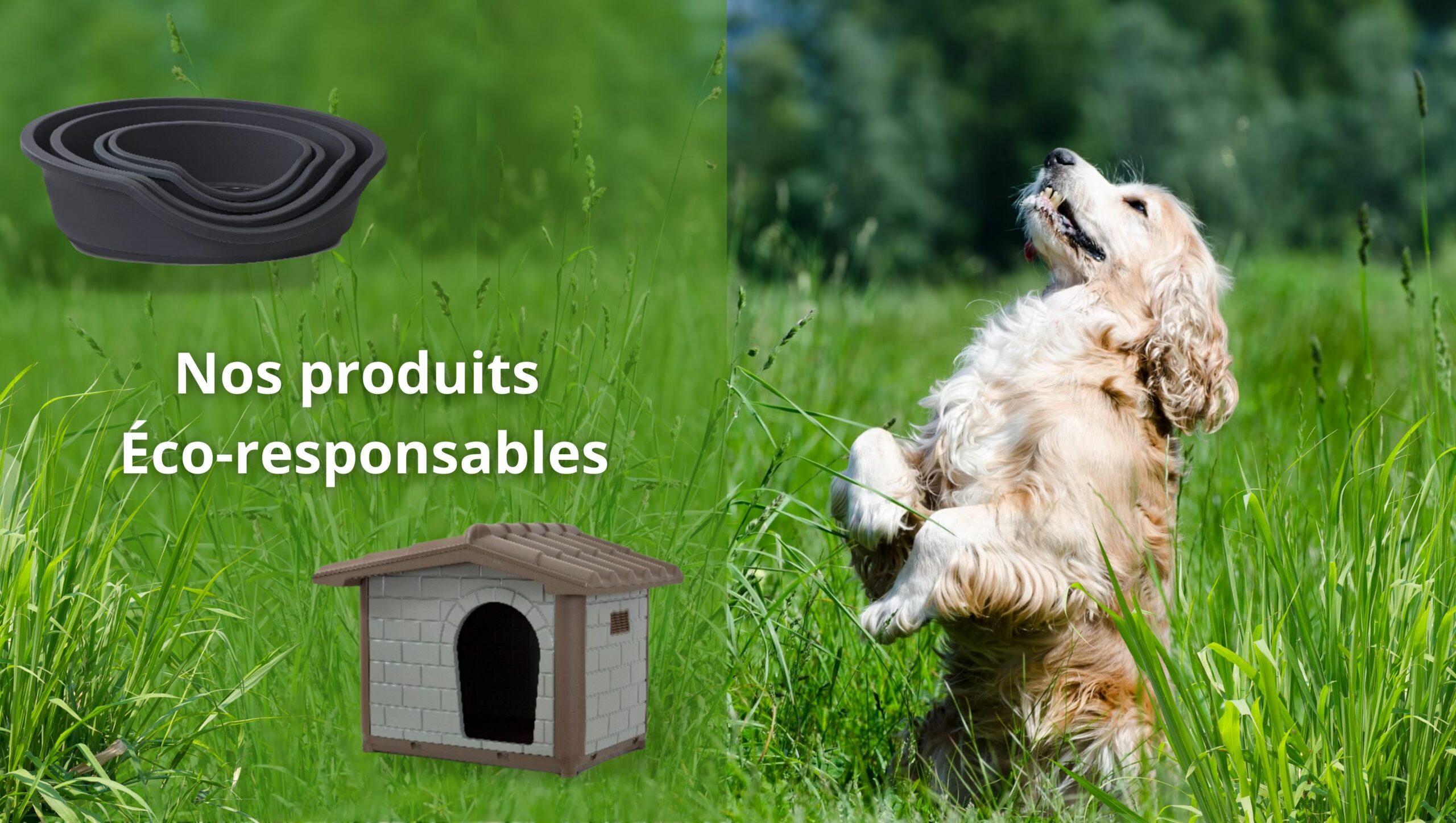Fabricant produit éco-responsable pour animaux